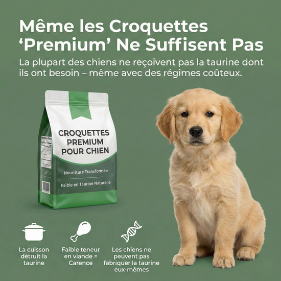 VitaTaurine+ - N°1 Recommandé par les Vétérinaires – PurCanin