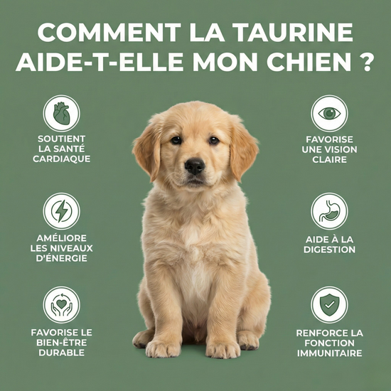 VitaTaurine+ - N°1 Recommandé par les Vétérinaires – PurCanin